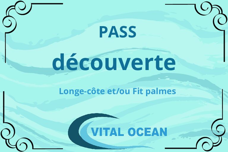 pass découverte séance Longe-Côte/Fit palmes - Vital Océan